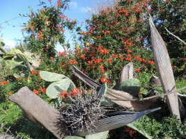 1920x1440_DSCN0357 – Ina Bauer