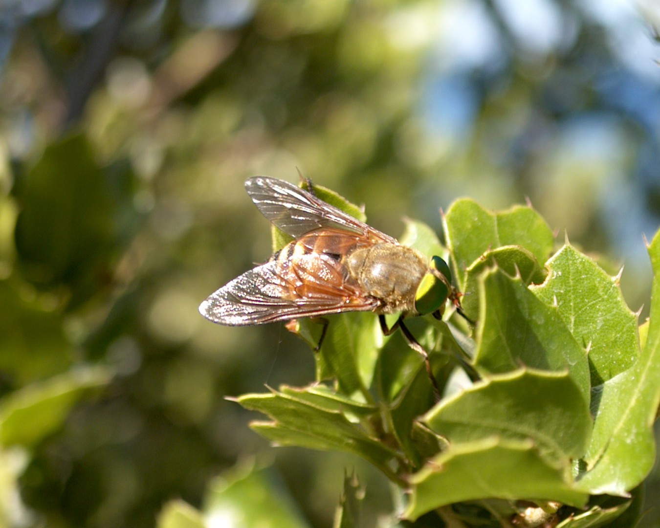 IM016086 – Ina Bauer